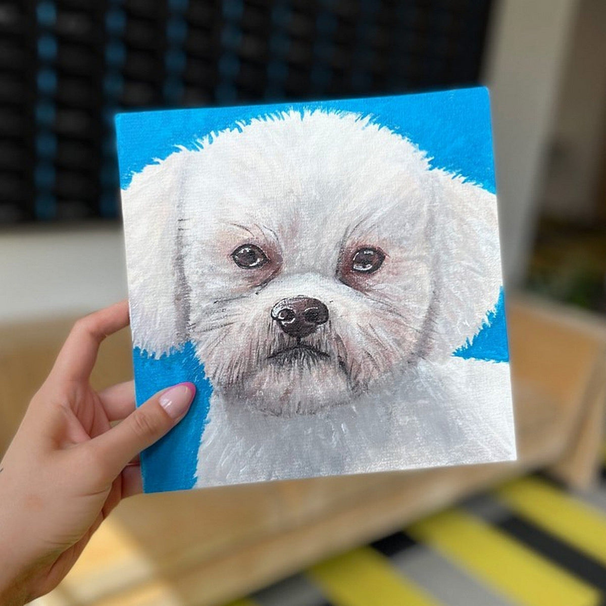 Cupixel Acrylic Canvas Bundle | Swing Design