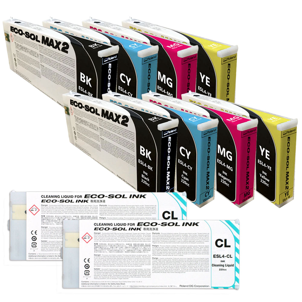 Roland BN-20A Printer Bundle w/ 2x CMYK Inks | Swing Design