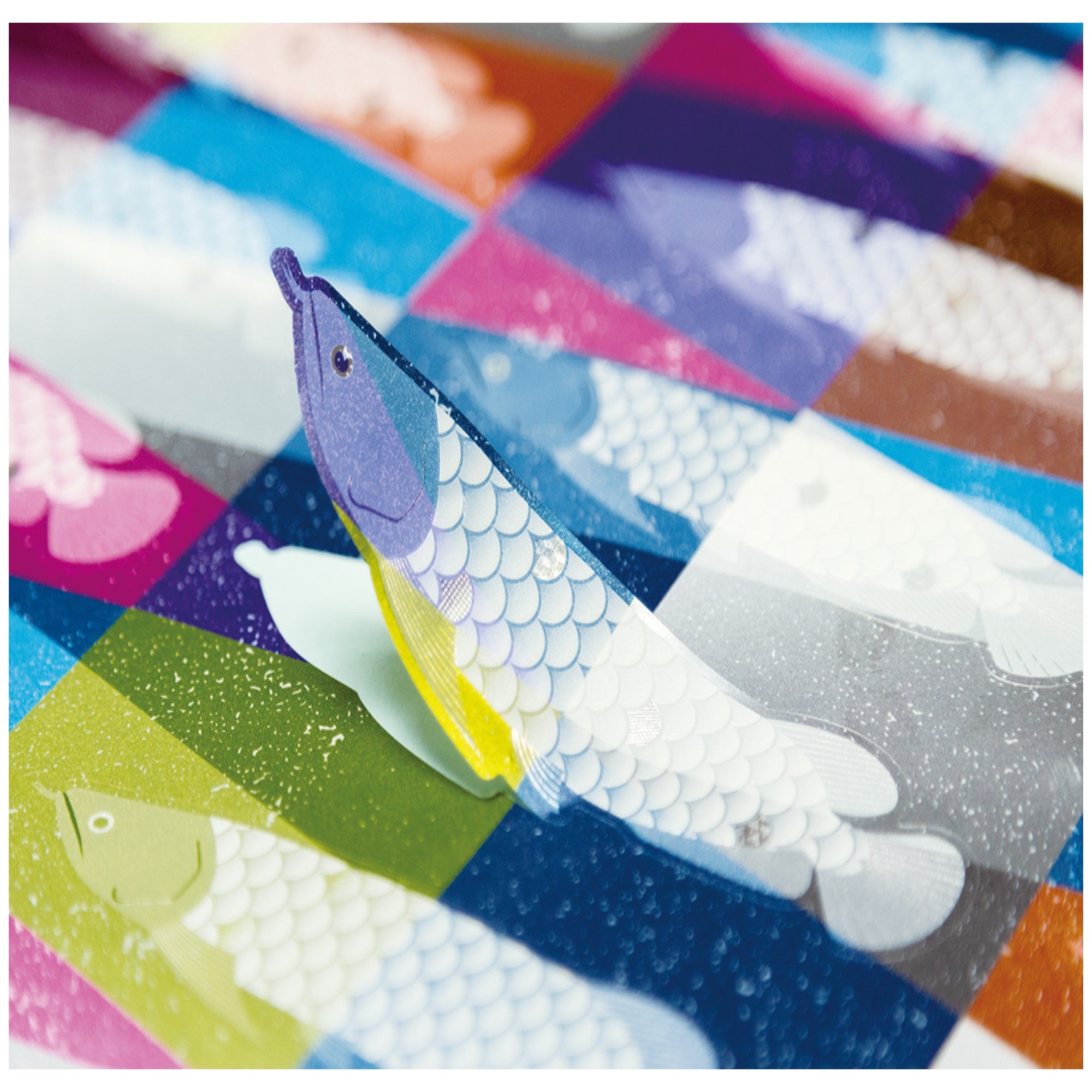 Roland Solvent Glossy Paper With Adhesive | Swing Design